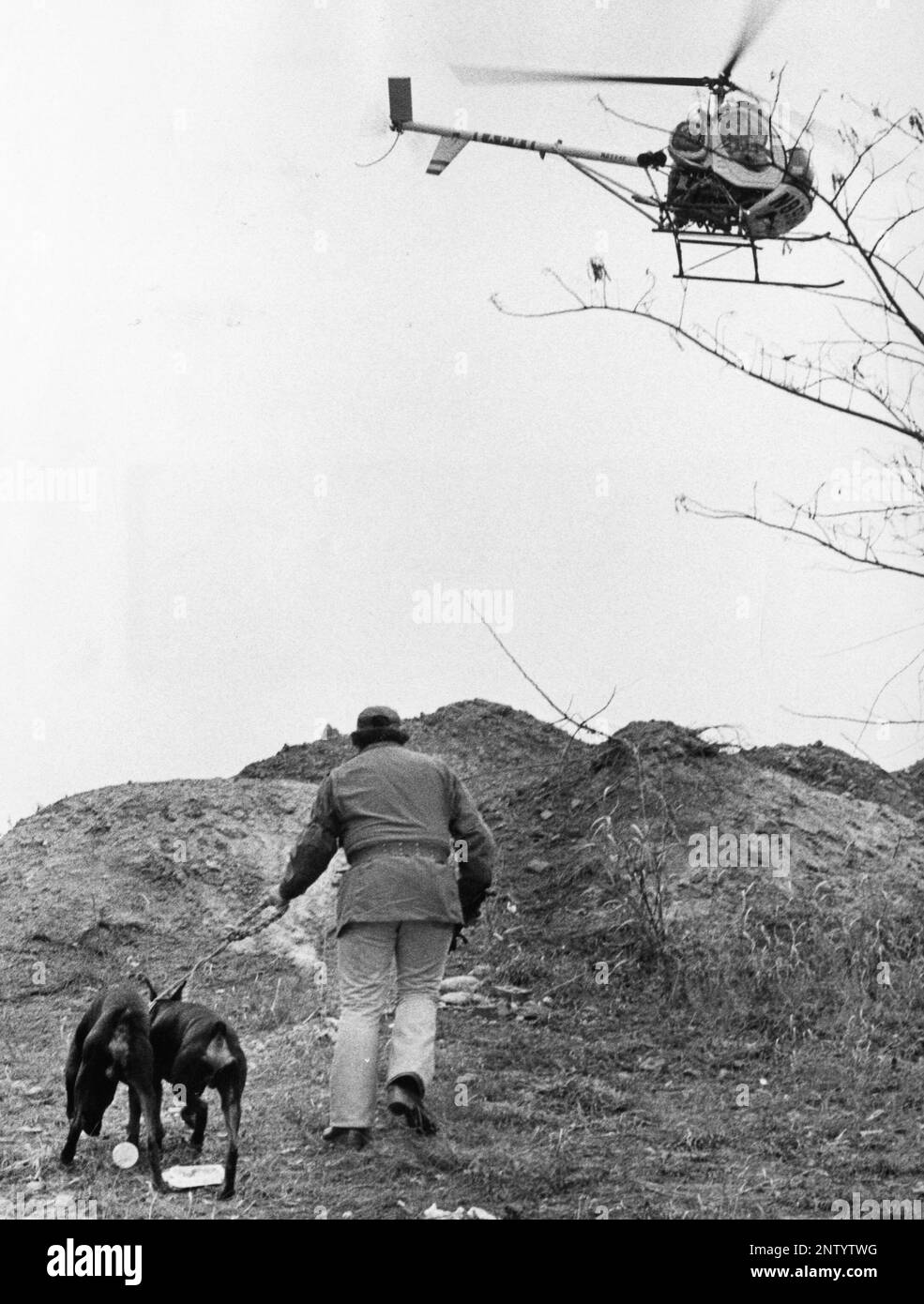 A K-9 unit and a police helicopter search a possible dump site at Sandy ...