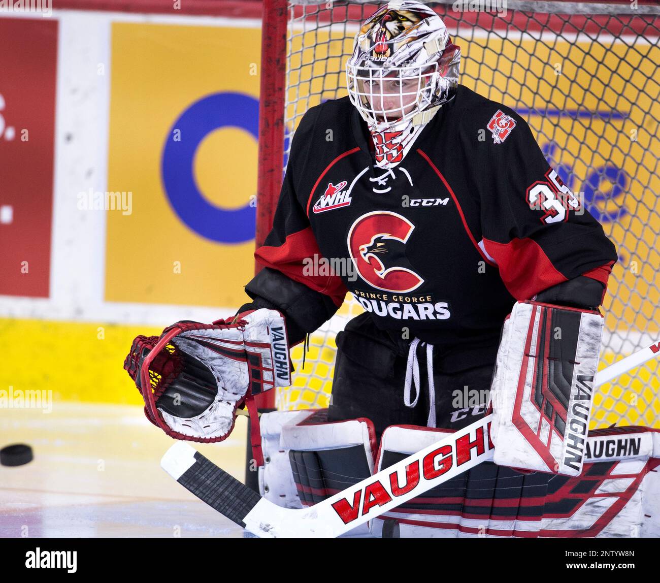 Taylor gauthier hi-res stock photography and images - Alamy