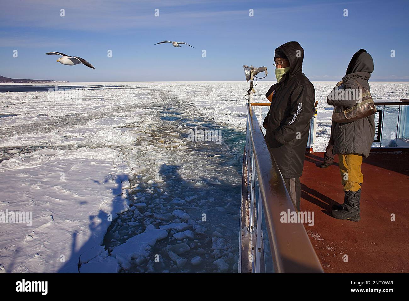 Frozen sea from sightseeing icebreaker, Aurora ship 1,Abashiri ...