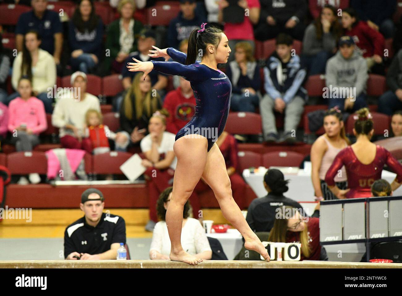 January 27, 2019 - Philadelphia, Pennsylvania, U.S - Penn's DARCY ...