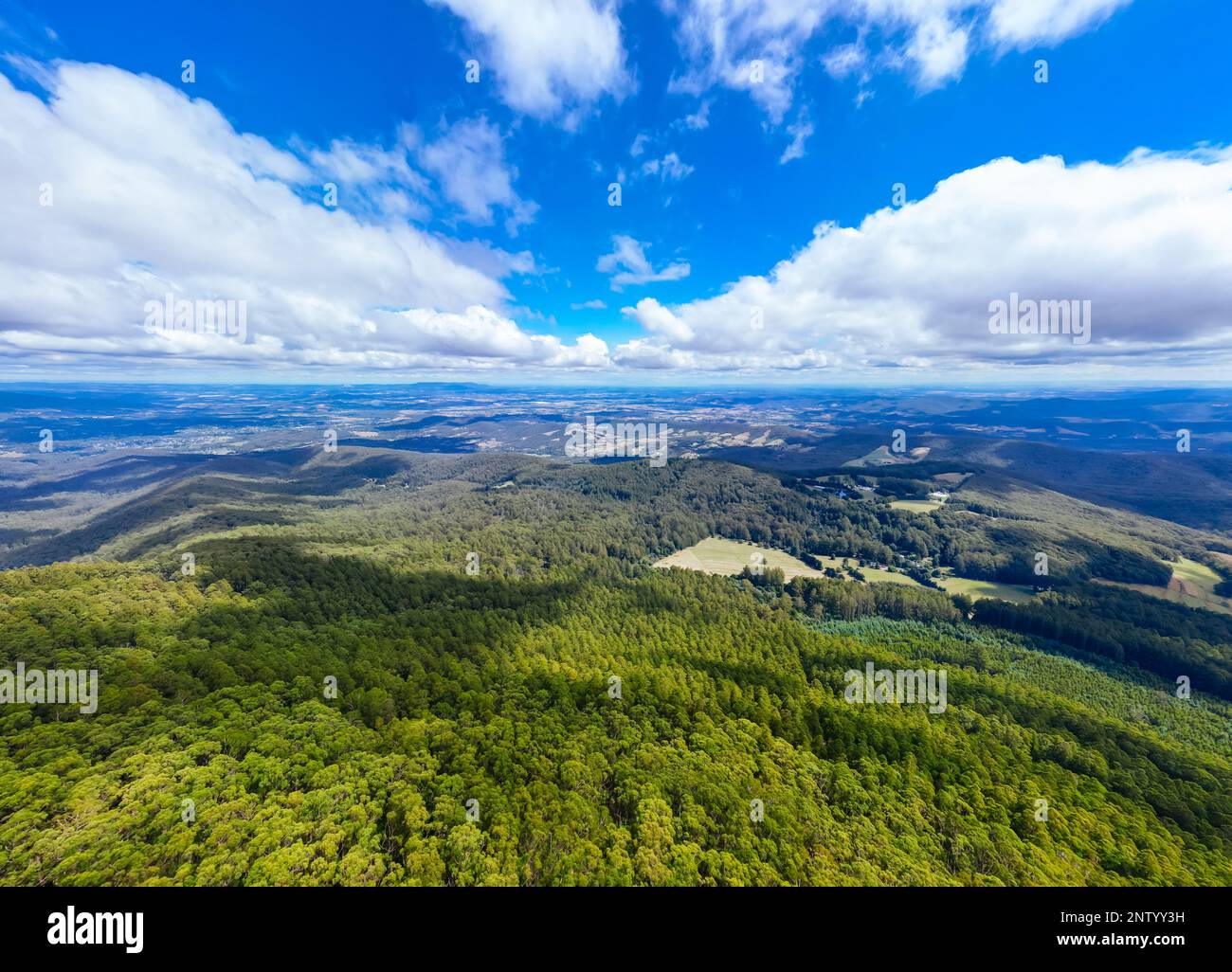 Summer Landscape at Mt St Leonard in Australia Stock Photo - Alamy