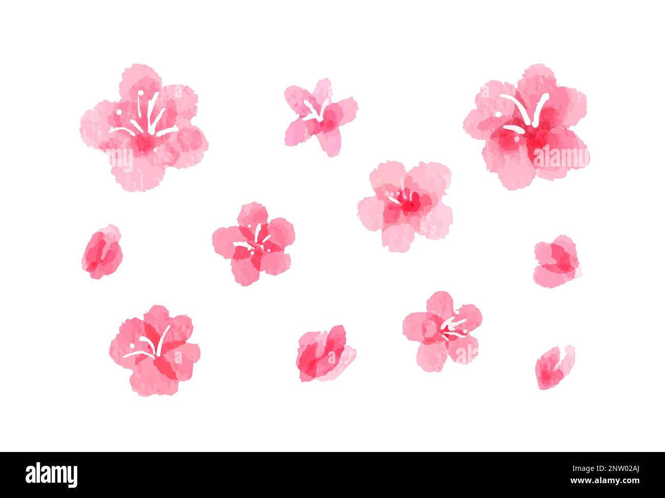 Cherry bloom buds Stock Vector Images - Alamy