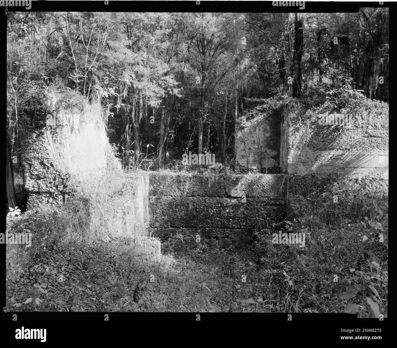Tabby Fort at Wormsloe, Savannah, Chatham County, Georgia. Carnegie ...