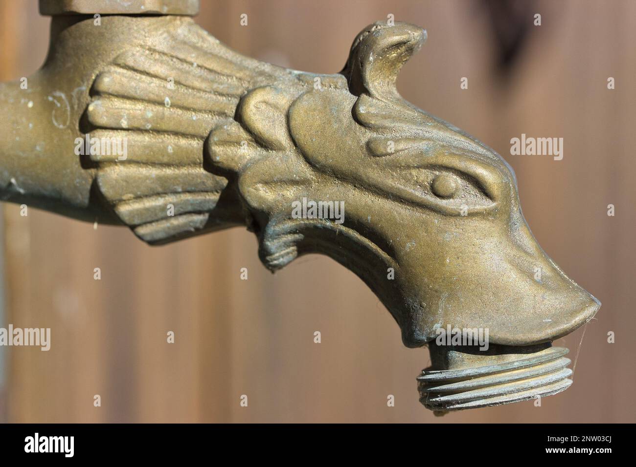 Macro shot of an antique bronze tap in the shape of a dragon Stock ...