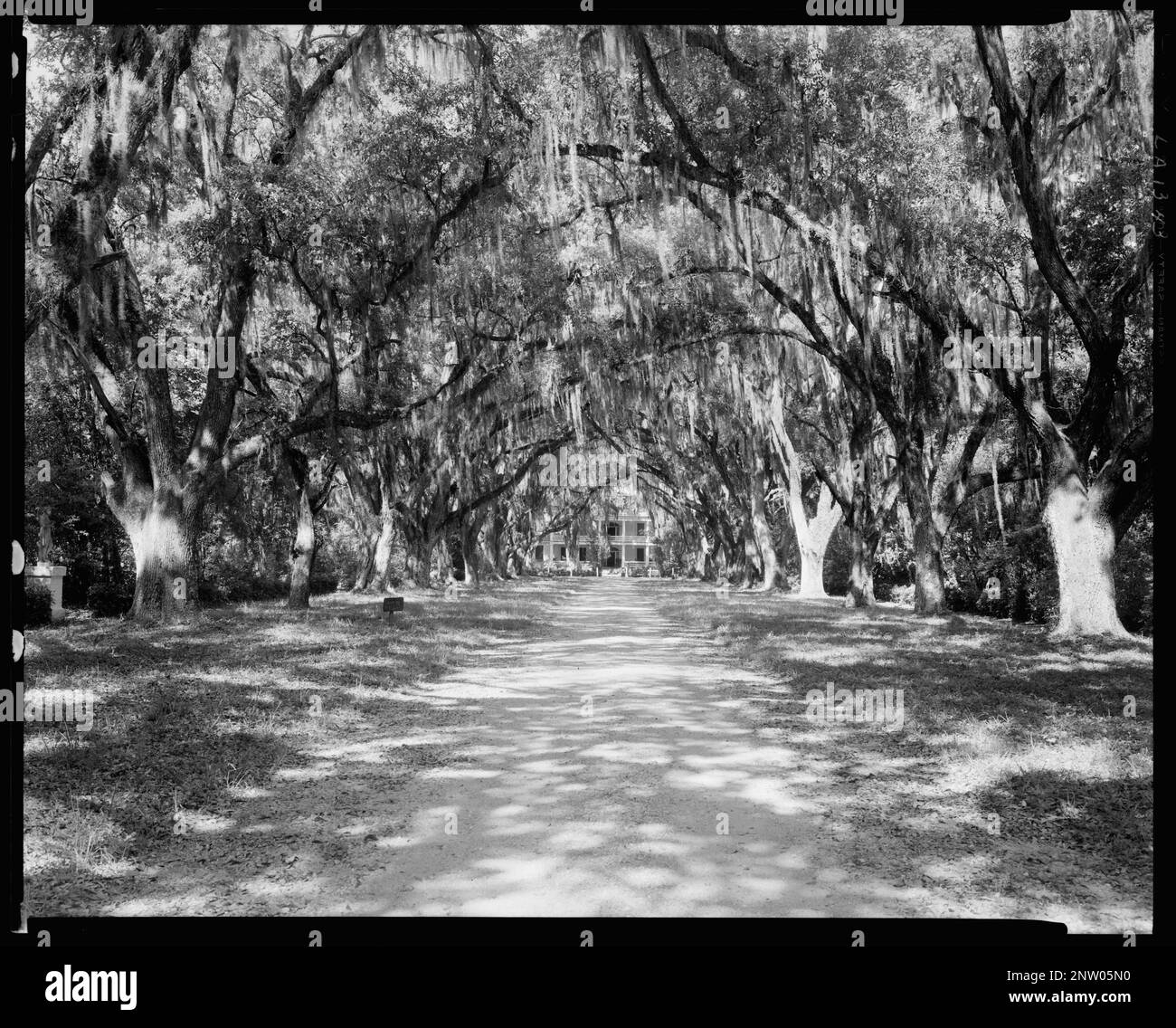 Rosedown Plantation, St. Francisville, W. Feliciana Parish, Louisiana ...