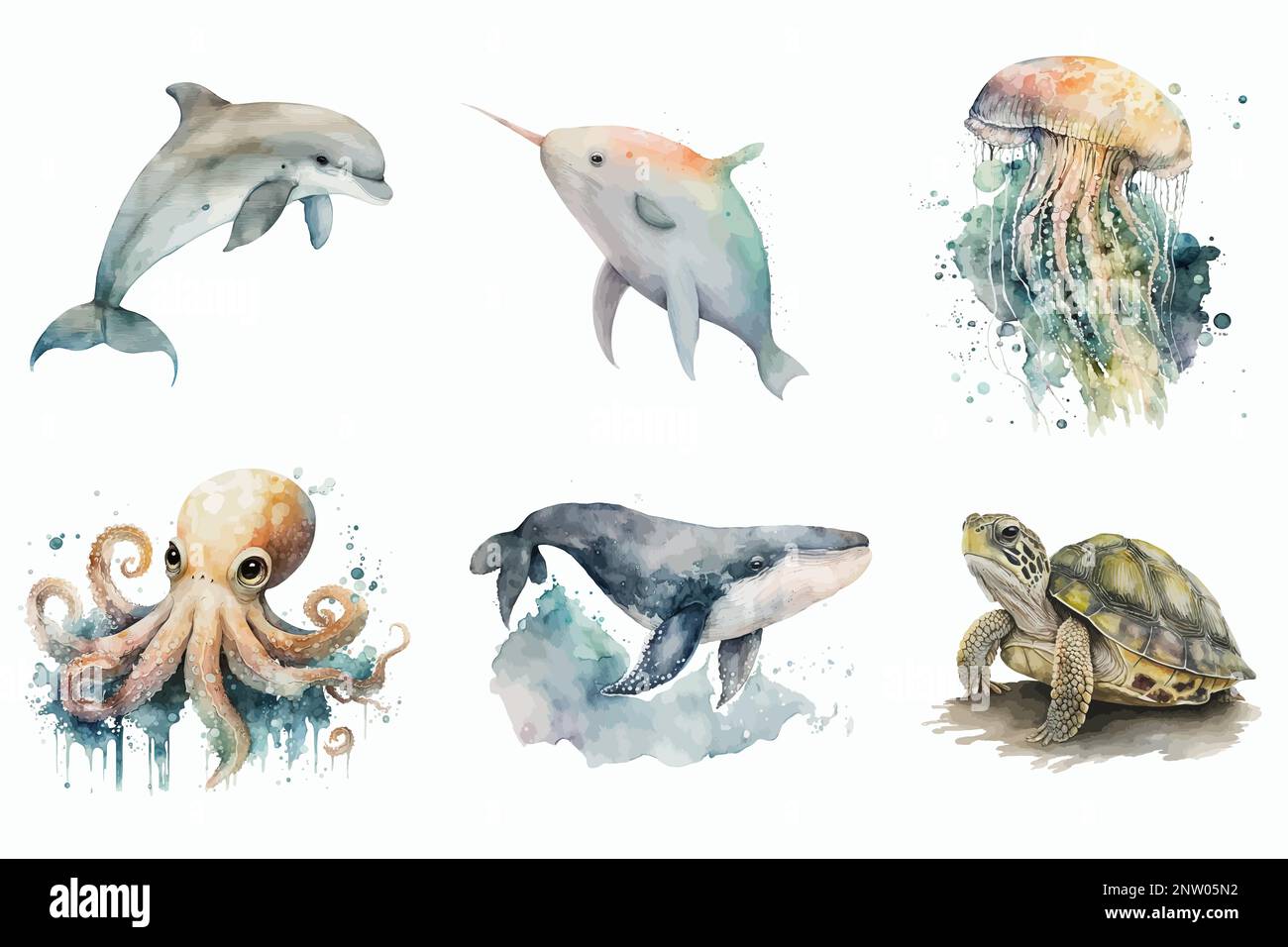 Kid whale aquarium hi-res stock photography and images - Alamy