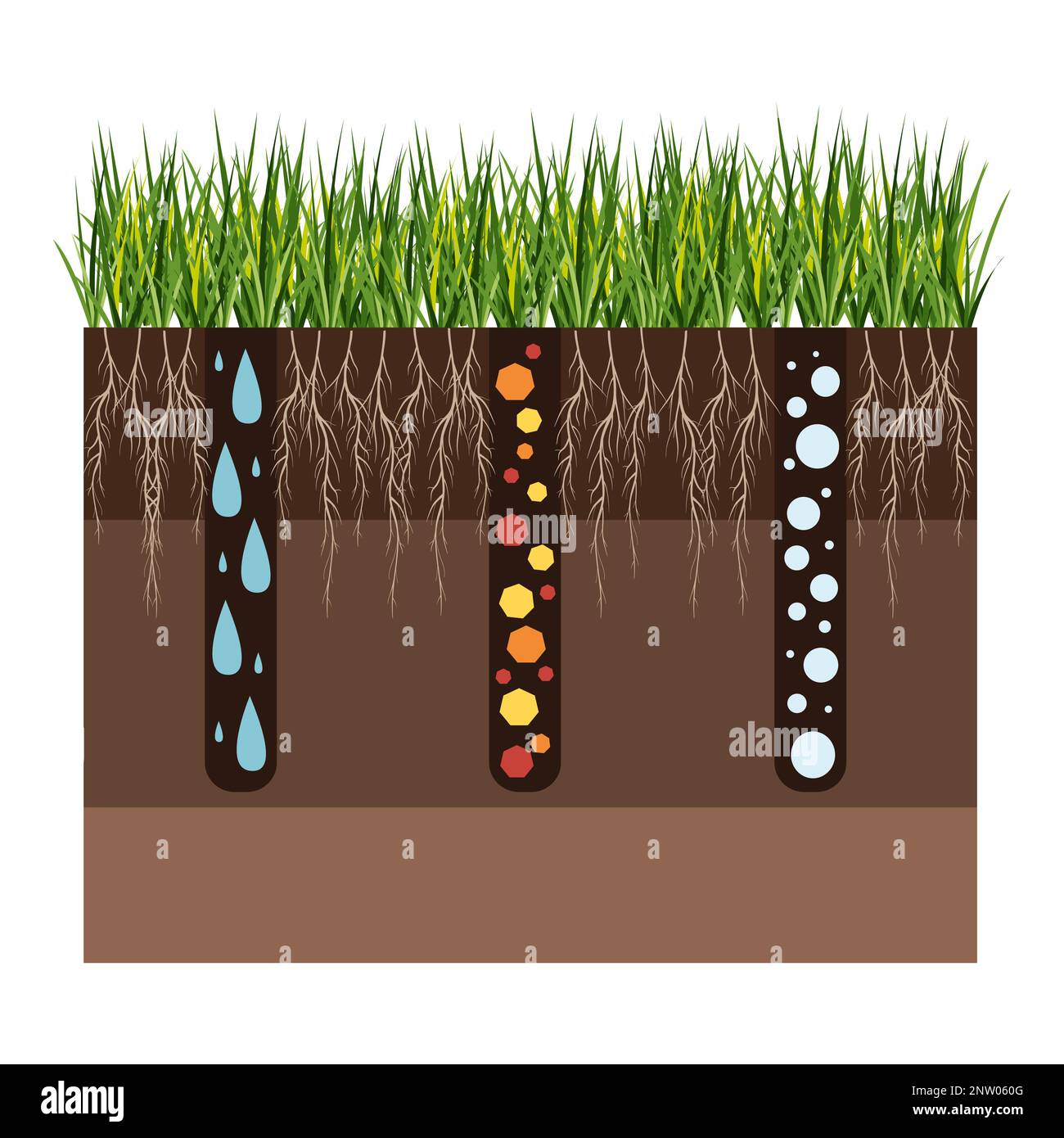 Lawn care - aeration and scarification. Labels by stage-during. Intake ...