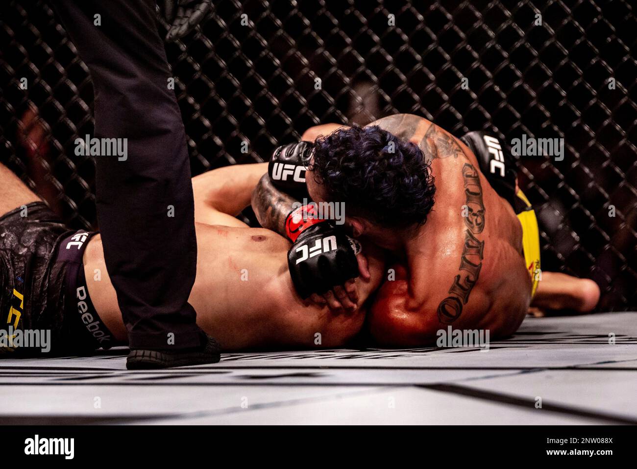 Oliveira faces David Teymur in the UFC Fortaleza main card held at Gin ...