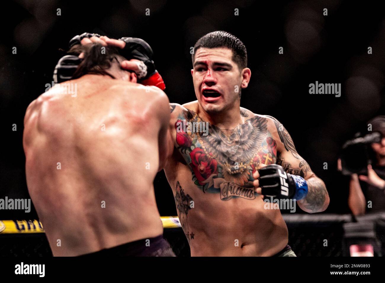 Perez faces Anthony "Fluffy" Hernandez on the UFC Fortaleza Preliminary ...