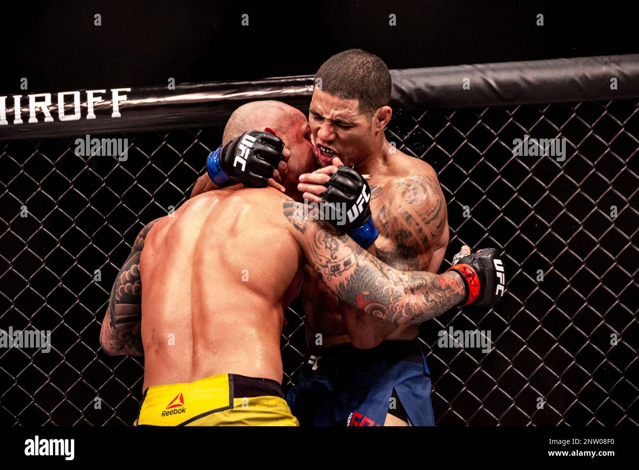 CE - Fortaleza - 02/02/2019 - UFC Fortaleza - Thiago "Pitbull" Alves Vs ...