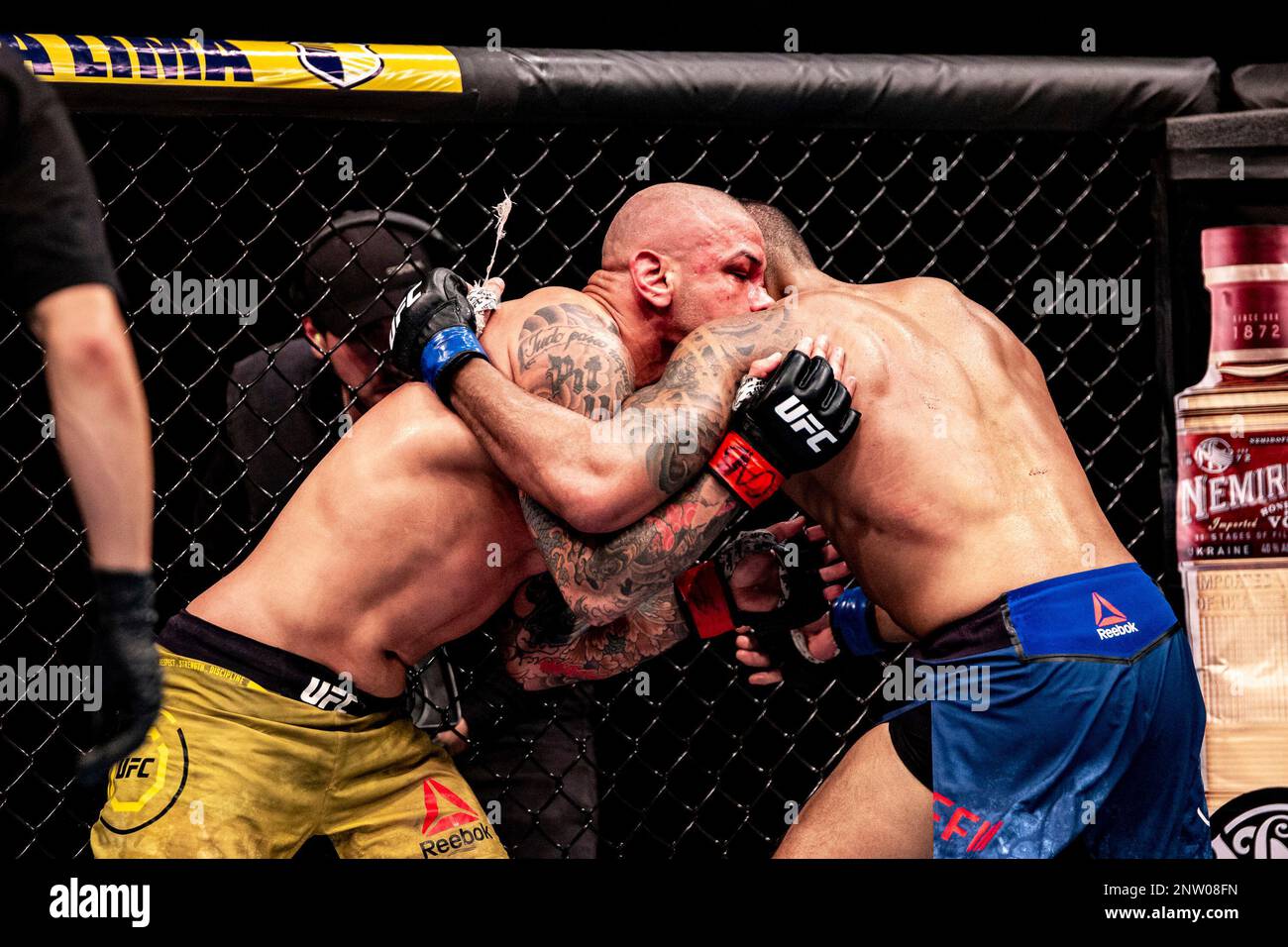 CE - Fortaleza - 02/02/2019 - UFC Fortaleza - Thiago "Pitbull" Alves Vs ...