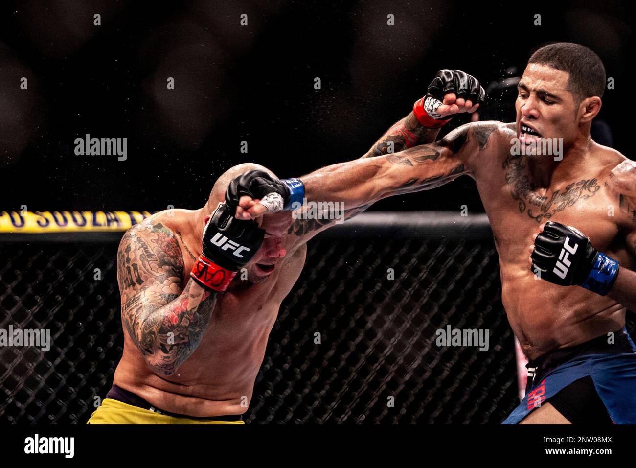 CE - Fortaleza - 02/02/2019 - UFC Fortaleza - Thiago "Pitbull" Alves Vs ...