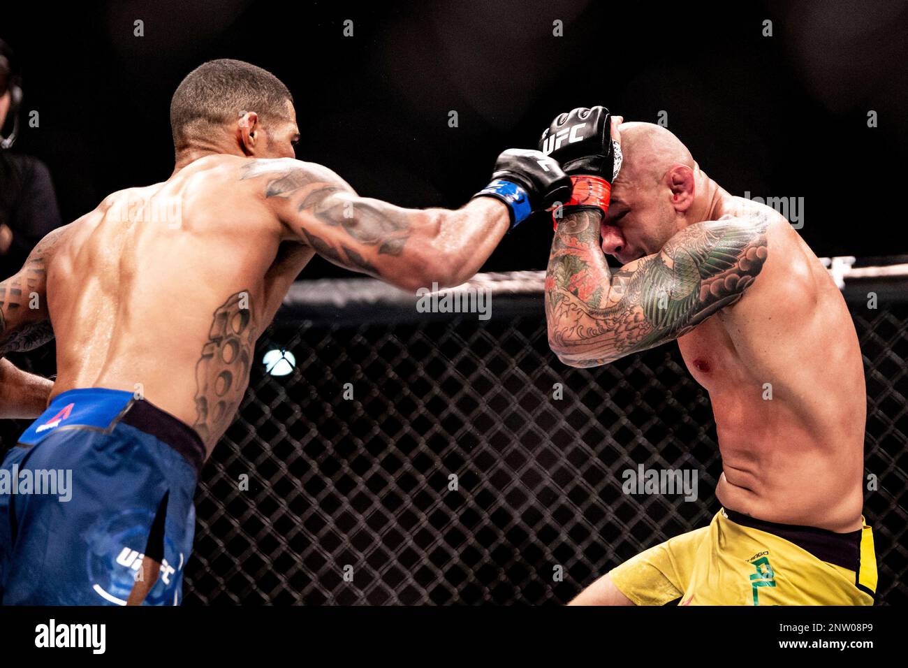 CE - Fortaleza - 02/02/2019 - UFC Fortaleza - Thiago "Pitbull" Alves Vs ...