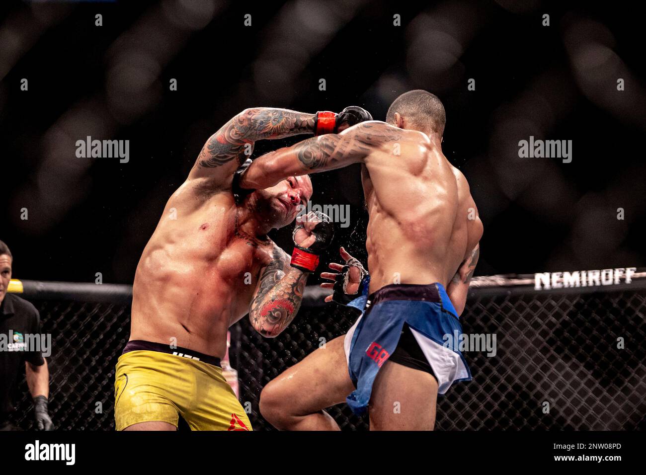 CE - Fortaleza - 02/02/2019 - UFC Fortaleza - Thiago "Pitbull" Alves Vs ...