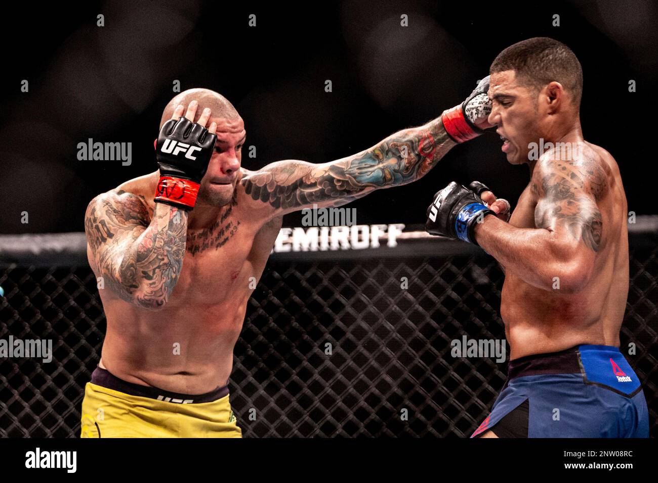 CE - Fortaleza - 02/02/2019 - UFC Fortaleza - Thiago "Pitbull" Alves Vs ...