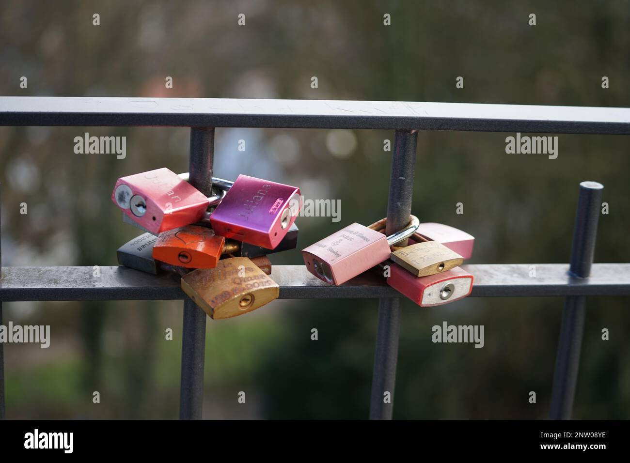 Locks on a fence love Cologne Stock Photo - Alamy