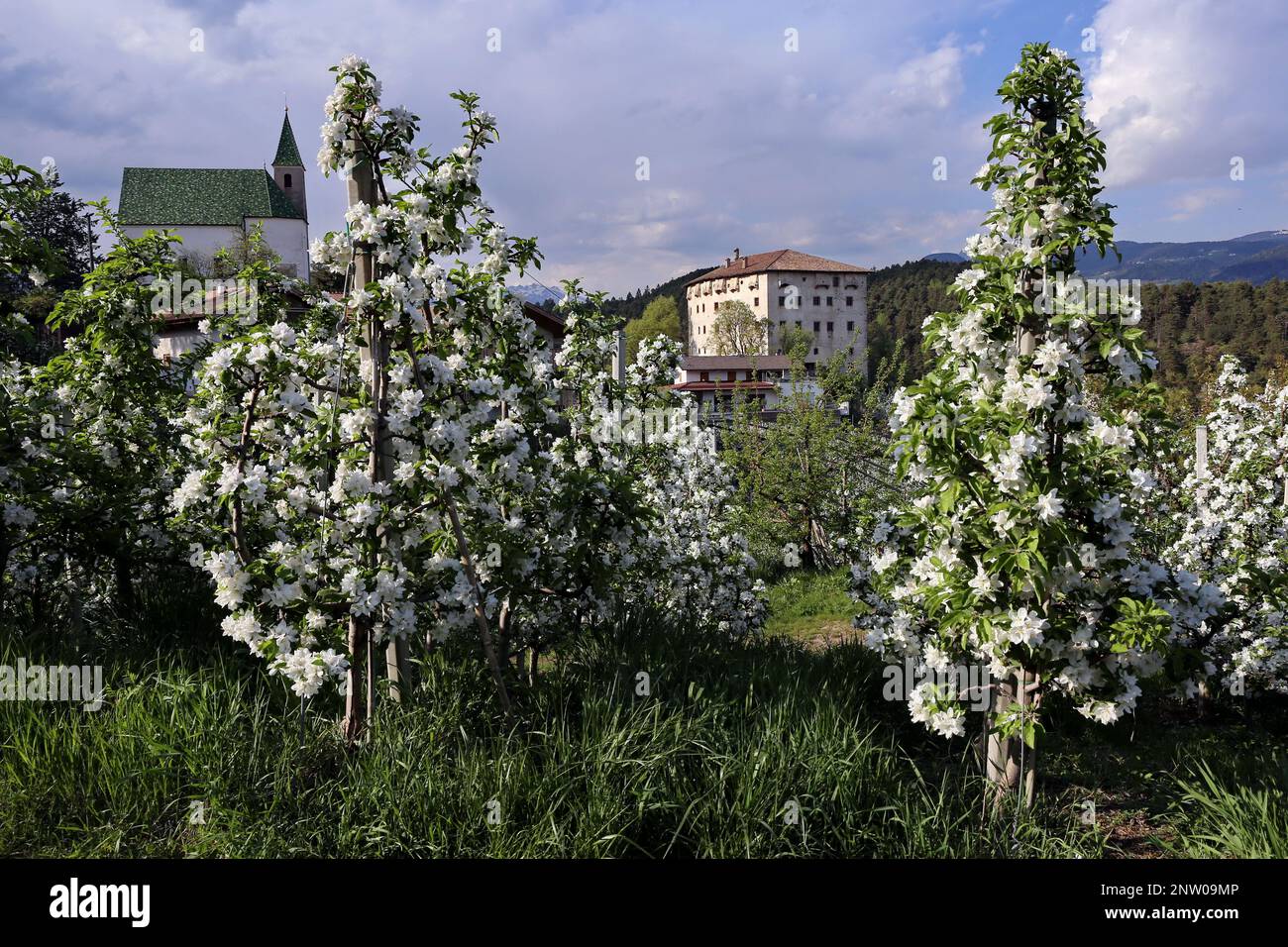 Apple italy hi-res stock photography and images - Alamy