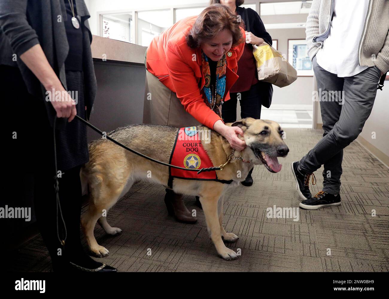 Court Dog Nala is pet by Sally Van Schenk who directs the Court Dog ...