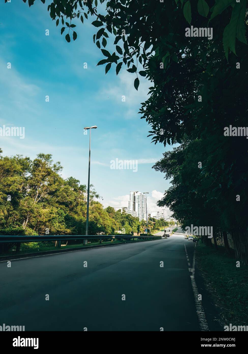 Beautiful residential area, clean empty asphalt roads, lush trees ...