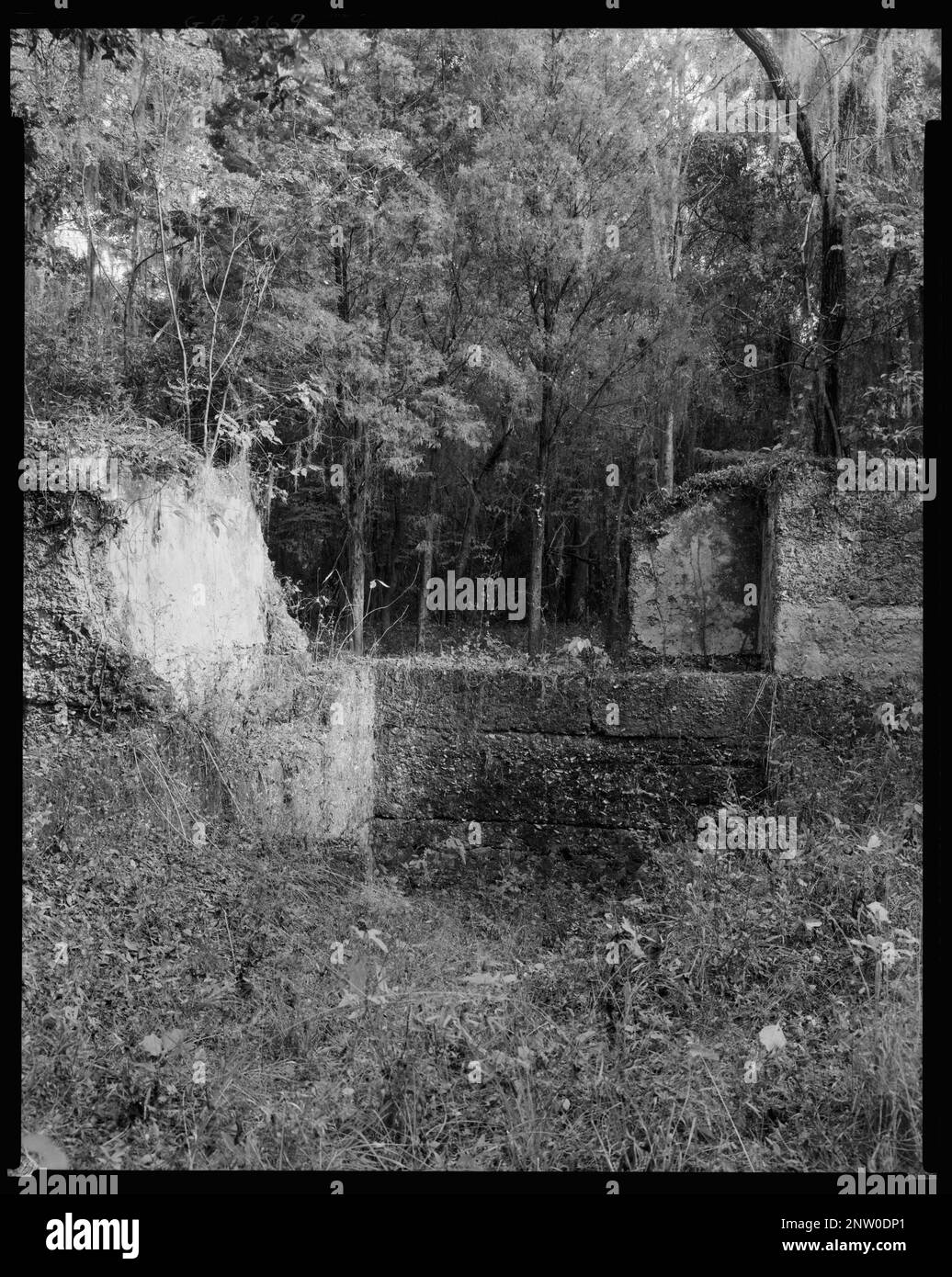 Tabby Fort at Wormsloe, Savannah, Chatham County, Georgia. Carnegie ...