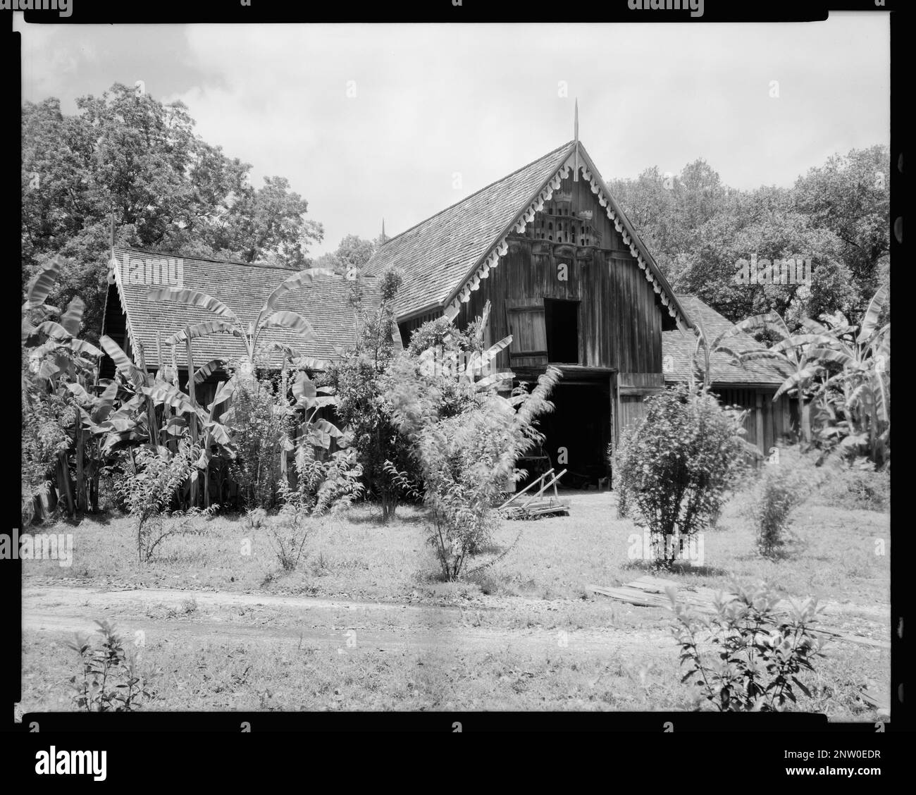 Elmwood Plantation, Harahan, Jefferson Parish, Louisiana. Carnegie ...