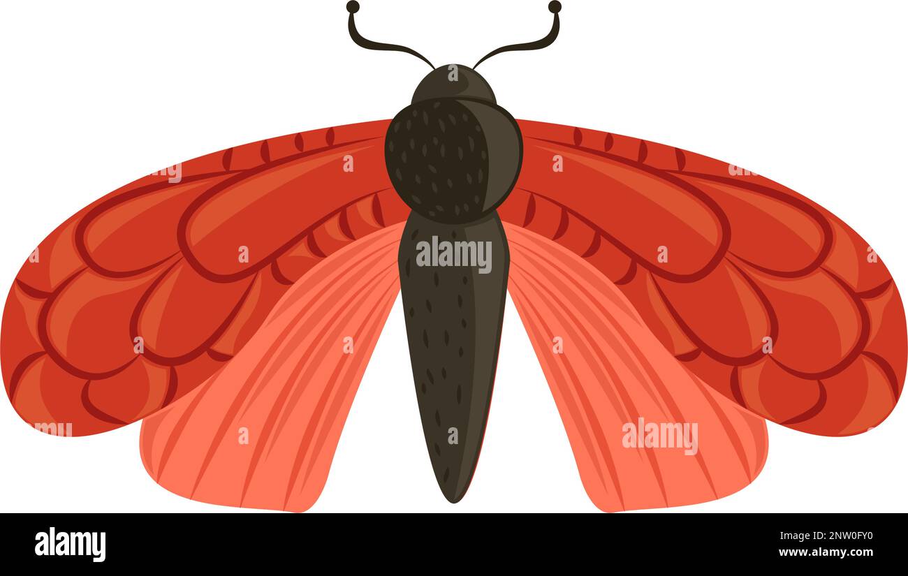 butterfly flat vector Stock Vector Image & Art - Alamy
