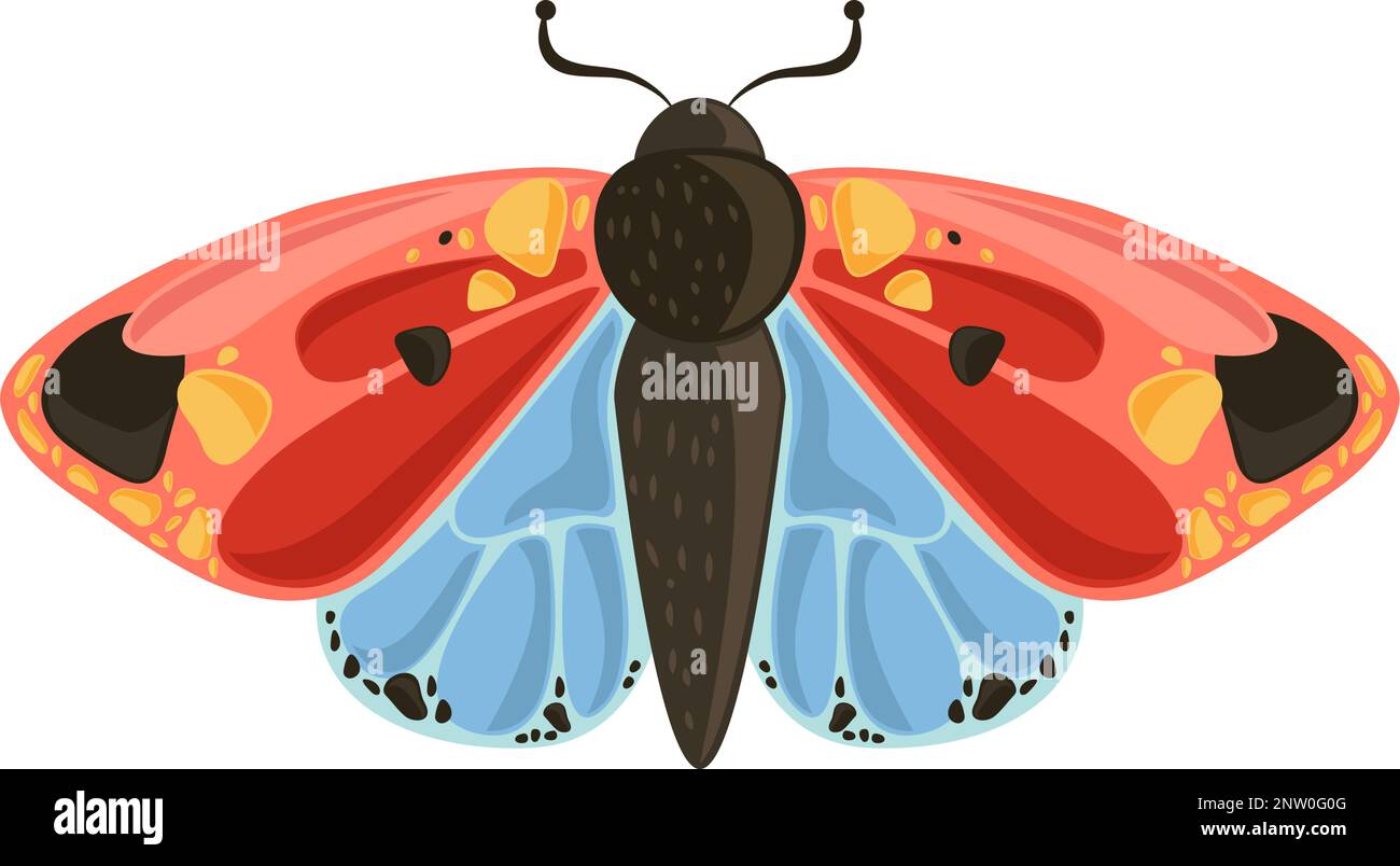 butterfly flat design Stock Vector Image & Art - Alamy