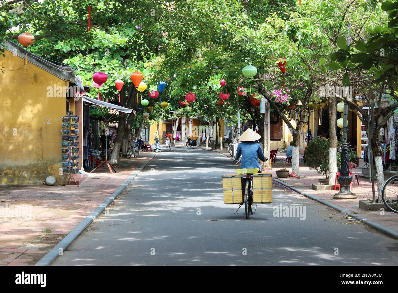 Sunlight on treetops hi-res stock photography and images - Alamy