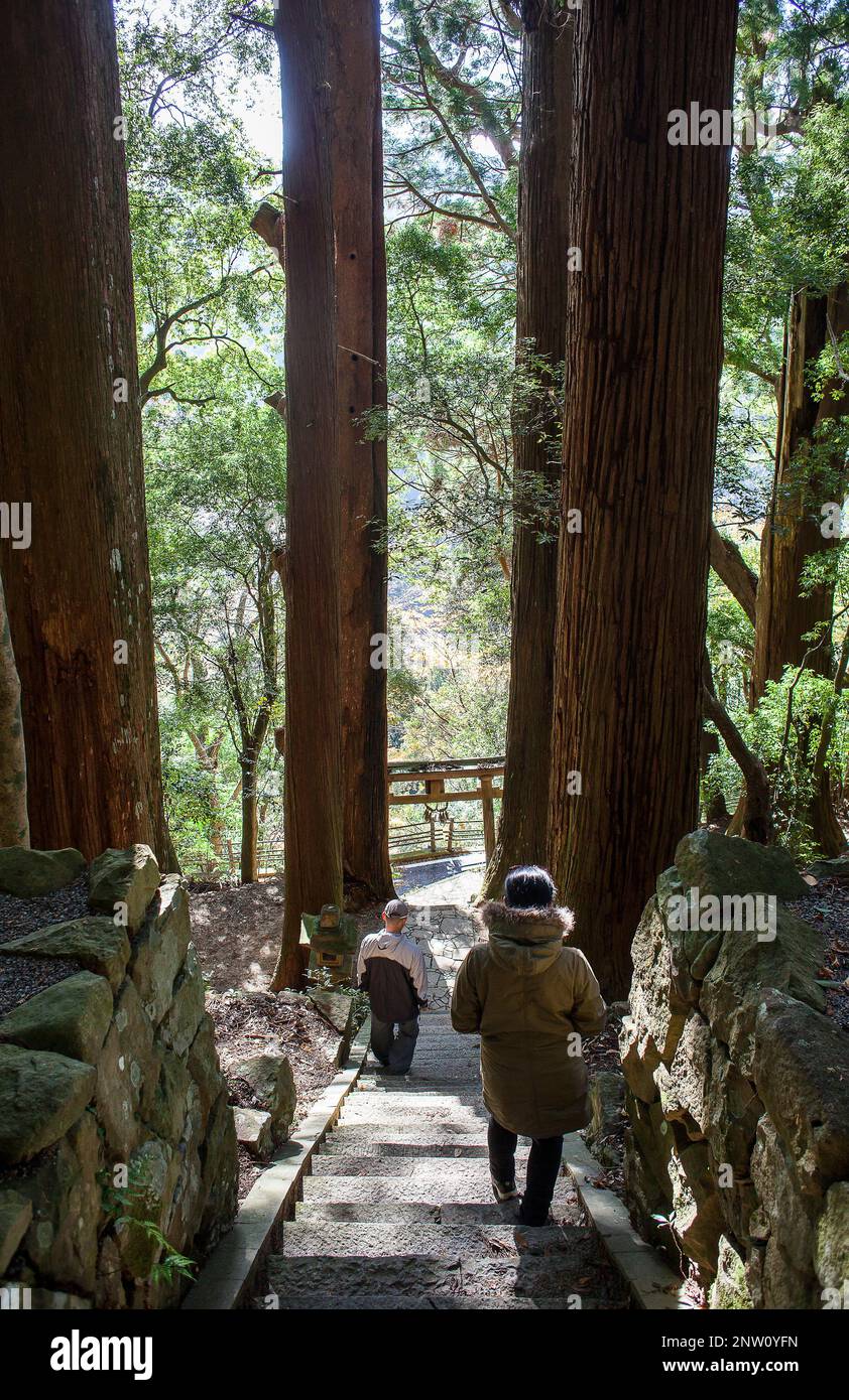 Tsugizakura-oji, Nonaka Village, Kumano Kodo, Nakahechi route, Tanabe ...