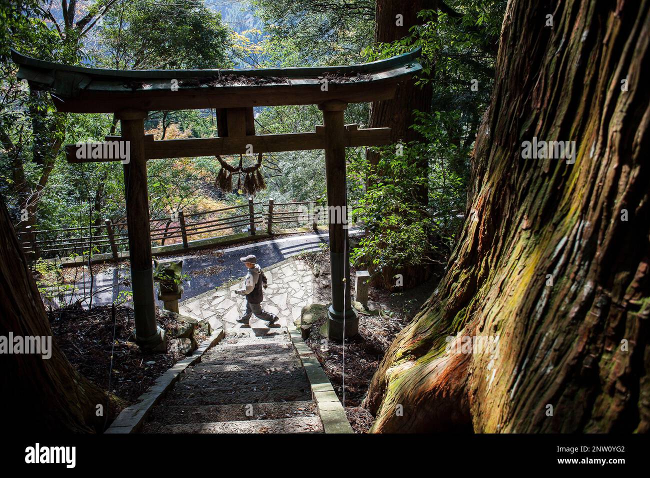 Tsugizakura-oji, Nonaka Village, Kumano Kodo, Nakahechi route, Tanabe ...