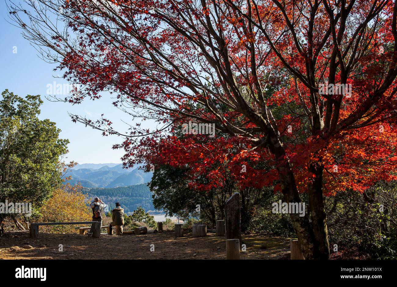 Pilgrims in Kumano Kodo near Kumano Hongu Taisha grand Shrine ...