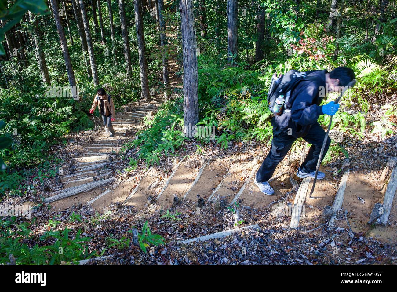 Pilgrims in Kumano Kodo near Kumano Hongu Taisha grand Shrine ...
