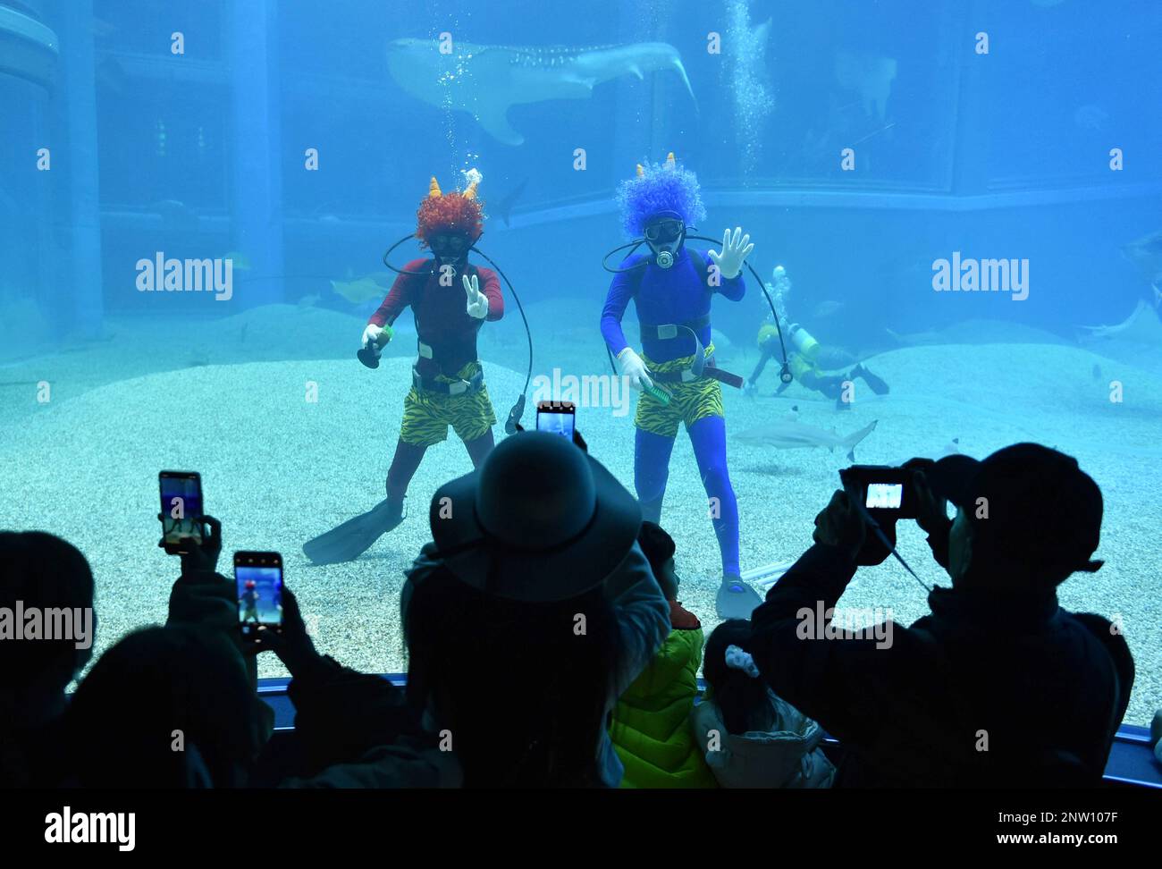 Divers wearing devil costume welocome visitors in a giant fish tank at ...