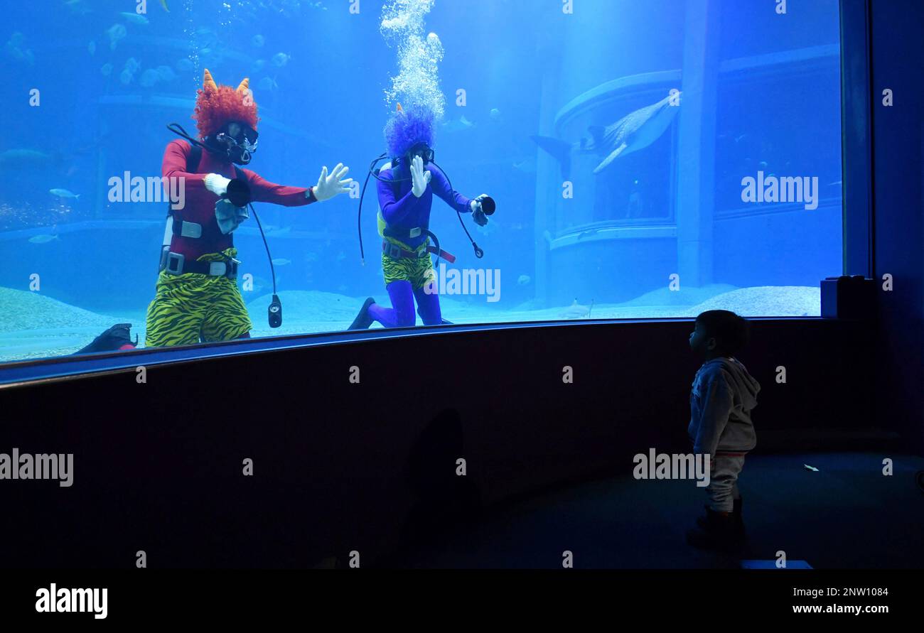 Divers wearing devil costume welocome visitors in a giant fish tank at ...