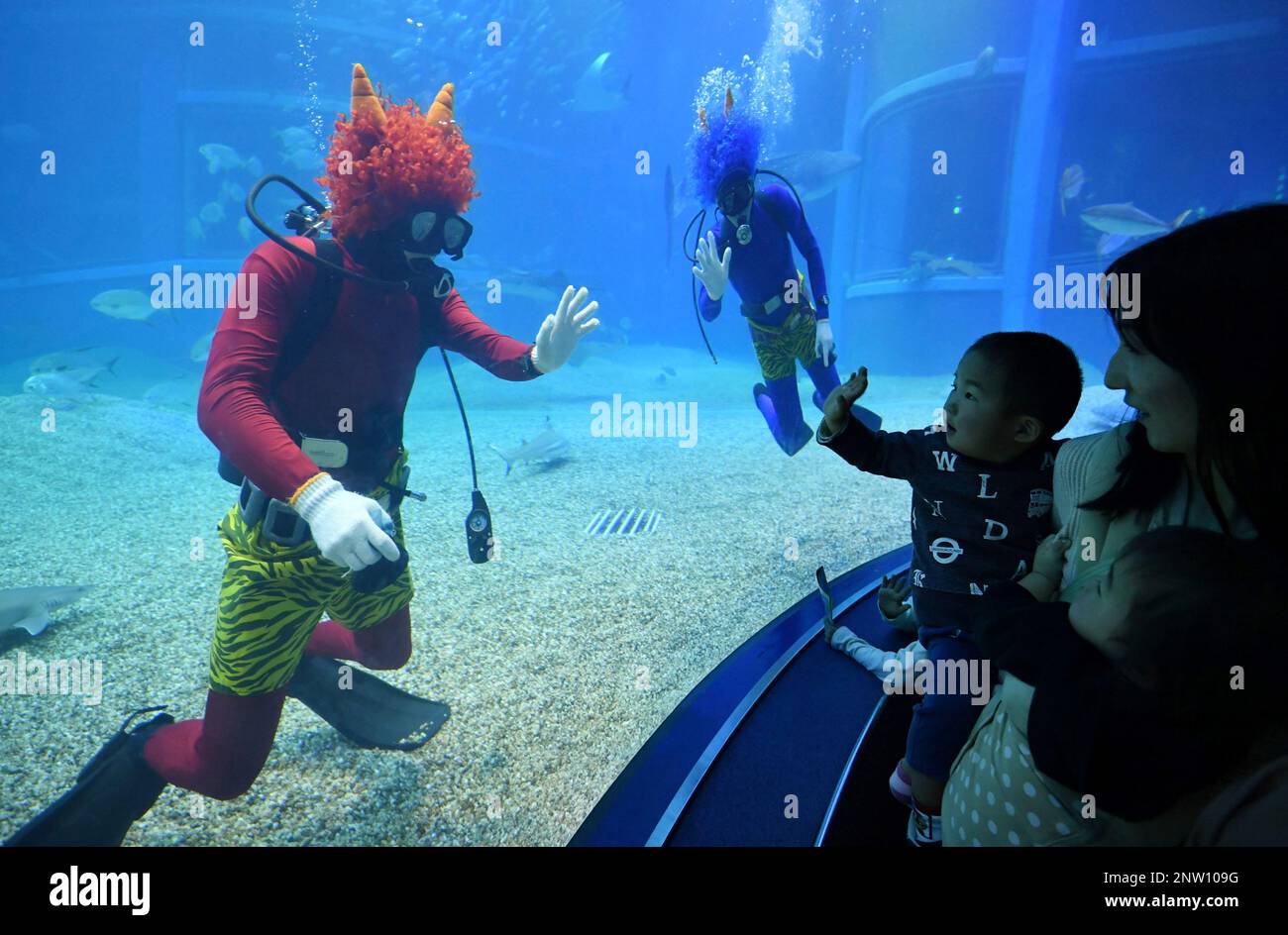 Divers wearing devil costume welocome visitors in a giant fish tank at ...
