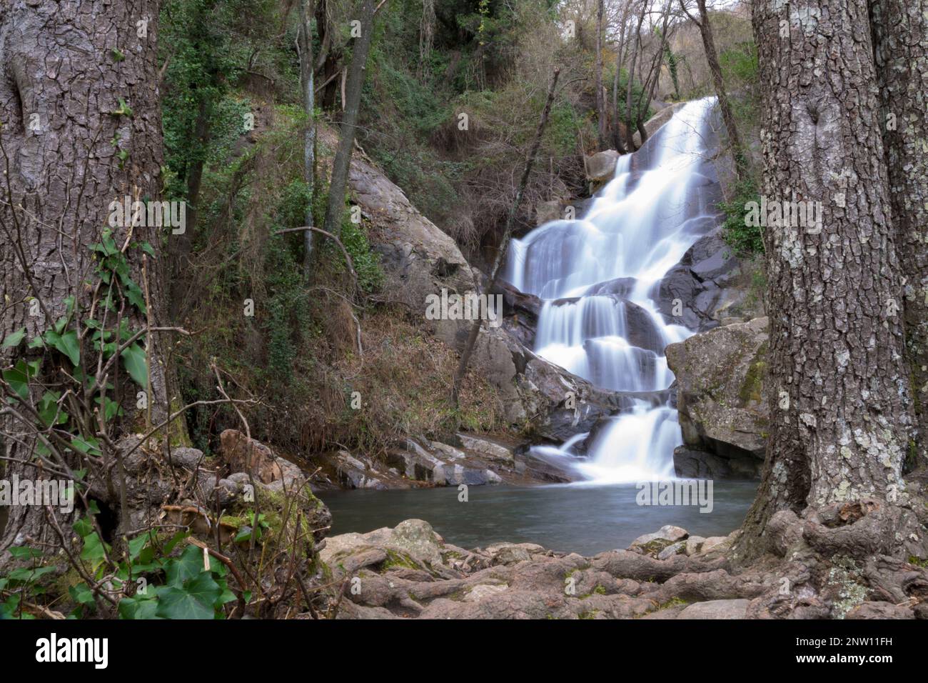 Vertical waterfall in the Valle del Jerte in winter tree roots long ...