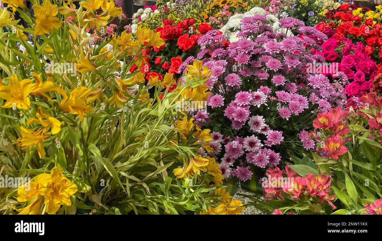 Selective focus image of flowers with variety of colors in a flower ...