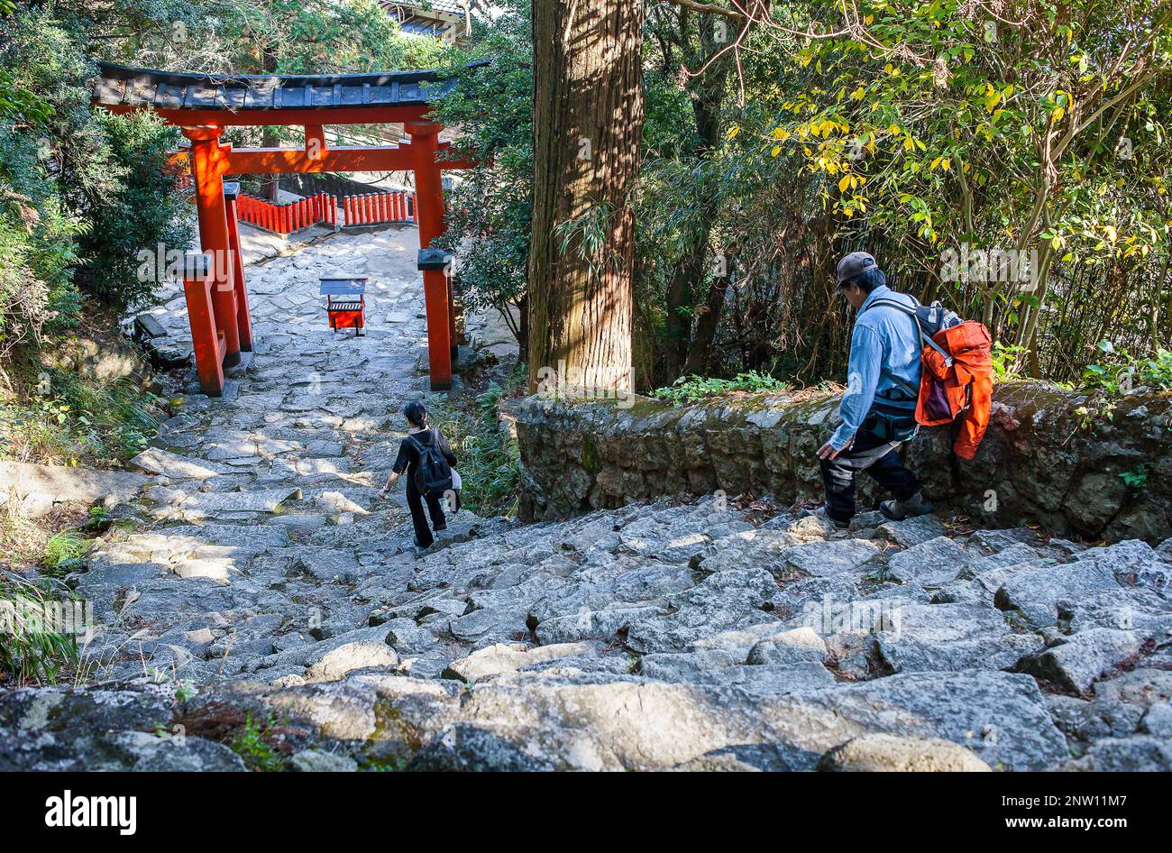 Pilgrims, path in Kamikura Jinja, Shingu village, Kumano Kodo ...