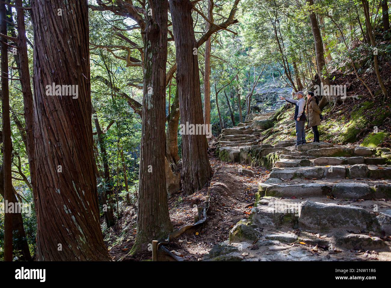 Pilgrims, path in Kamikura Jinja, Shingu village, Kumano Kodo ...