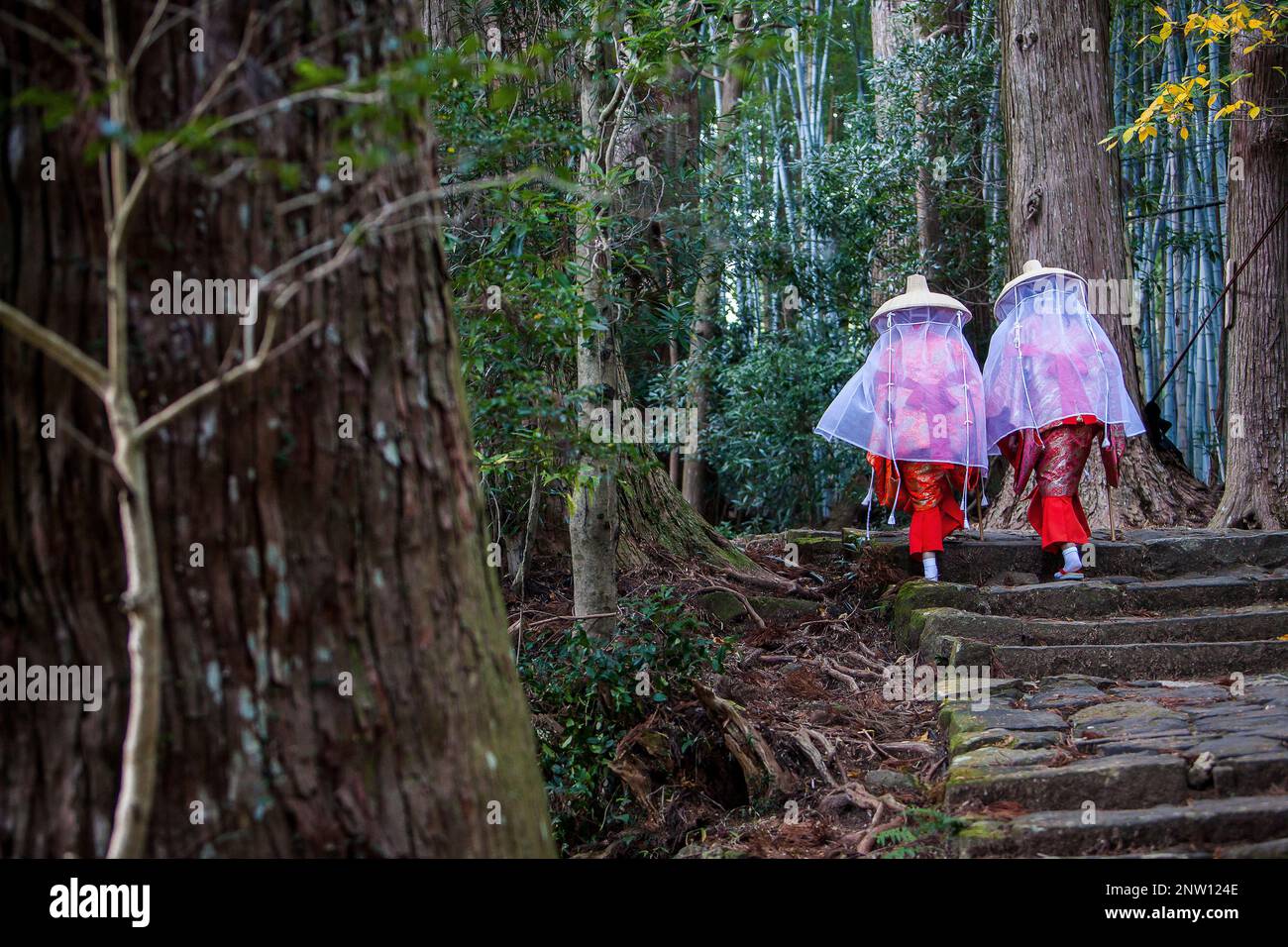 Pilgrims in Heian period costumes, in Daimon-zaka Slope, access at ...