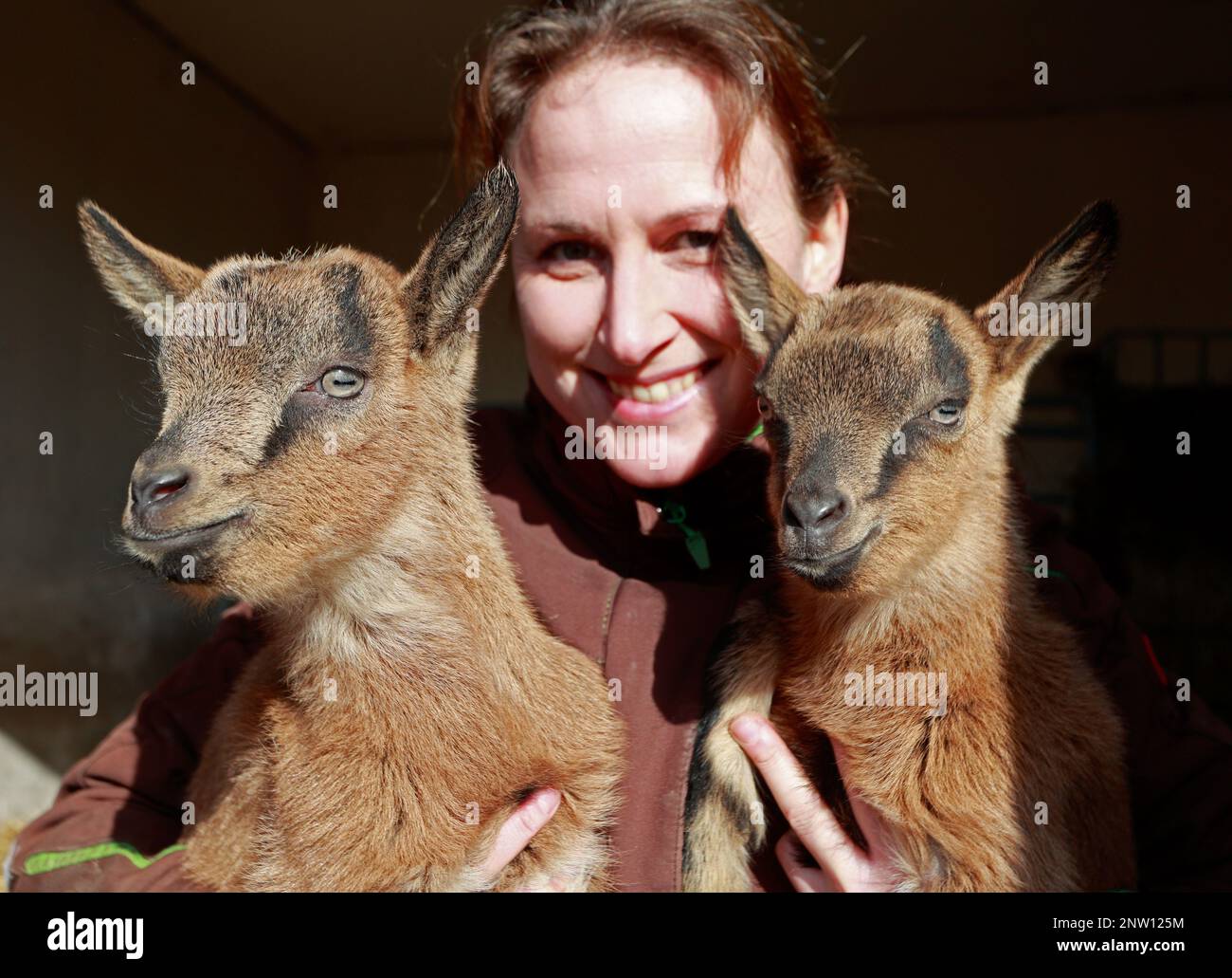 28 February 2023, Saxony-Anhalt, Tanne: Brockenbauer junior manager ...