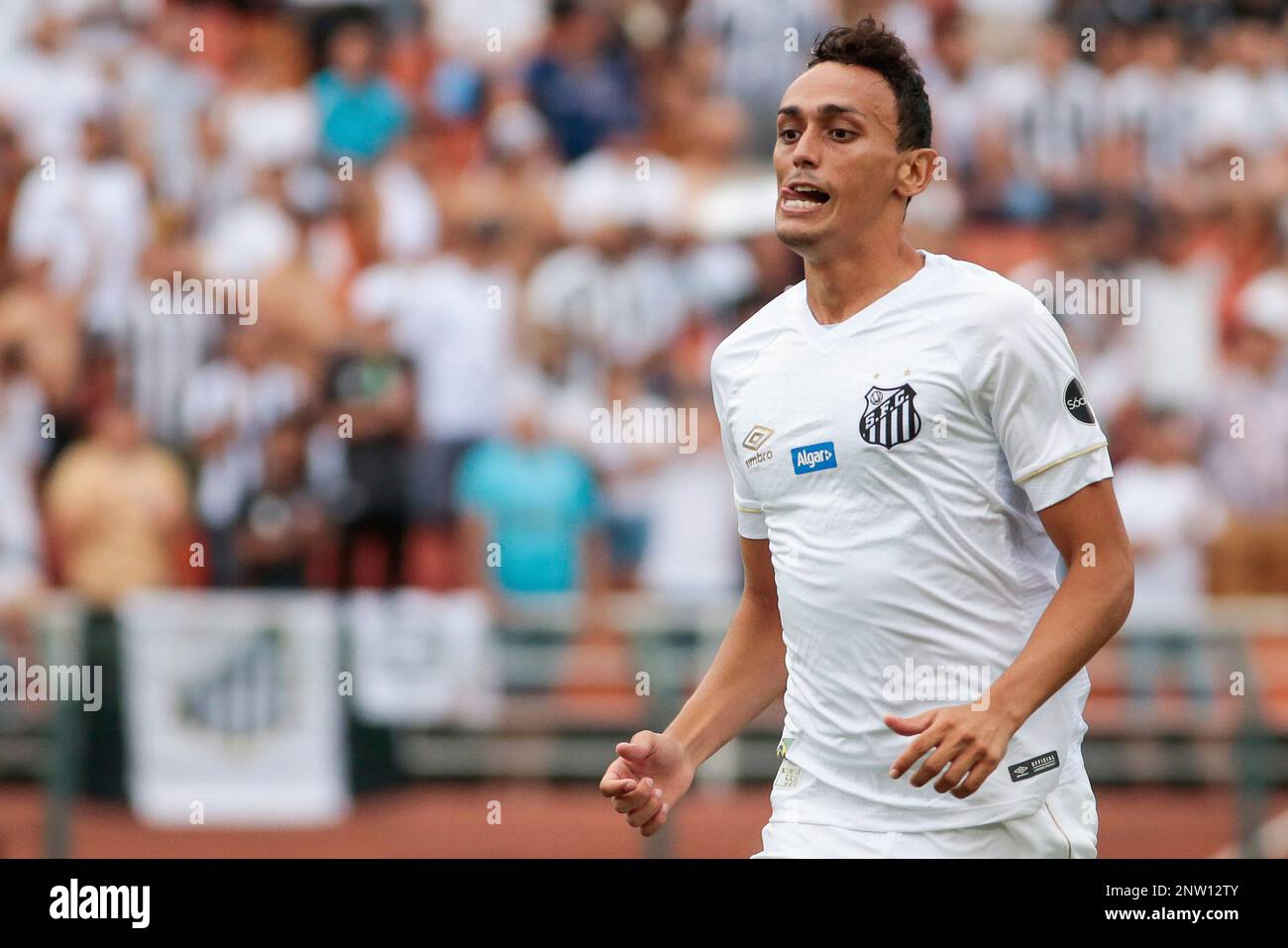 SP - Sao Paulo - 01/27/2019 - Paulista 2019, Santos vs Sao Paulo ...