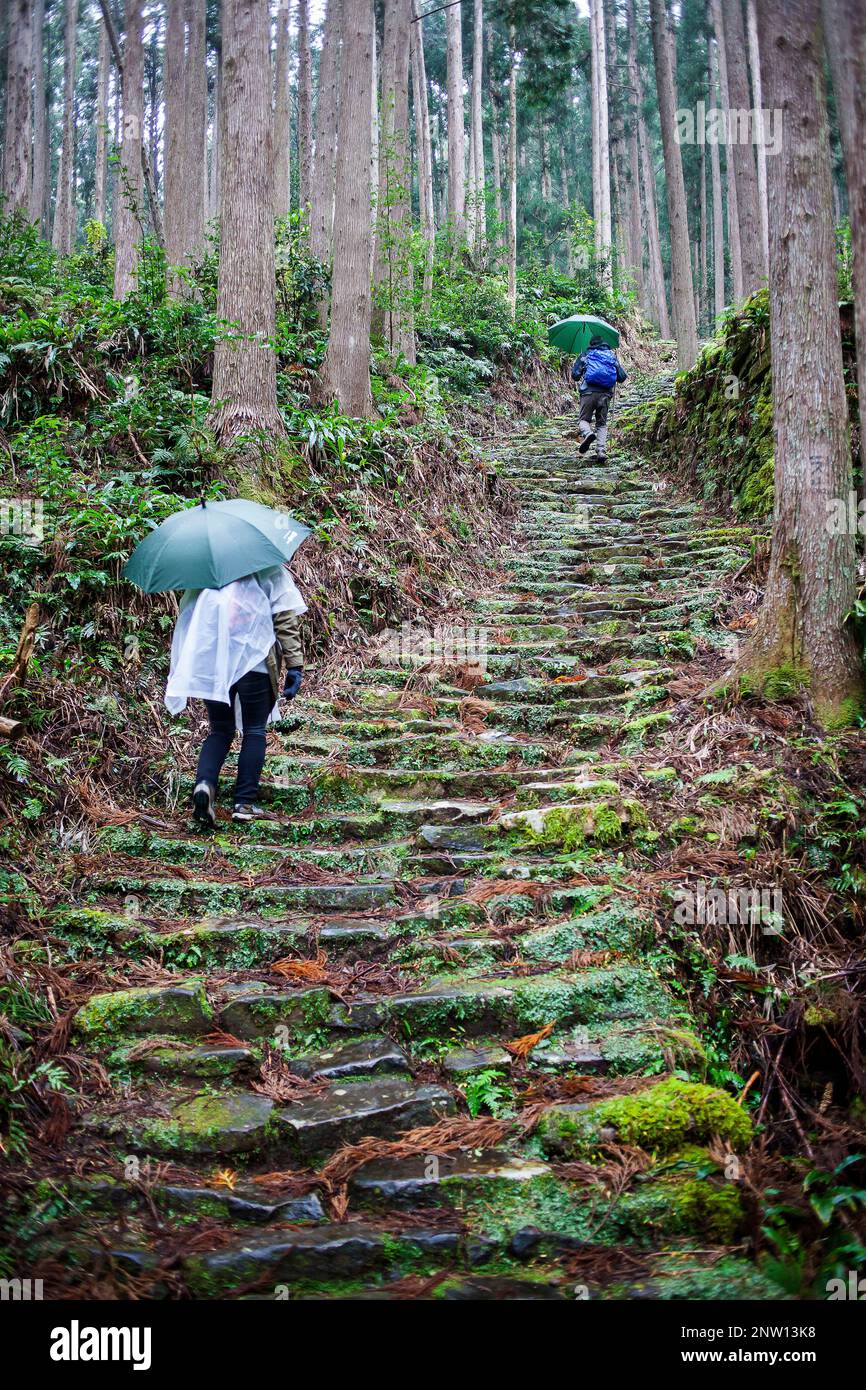 Pilgrims in Ogumotori-goe section, Kumano Kodo, Nakahechi route, Wakayama, Kinki, Japan Stock ...
