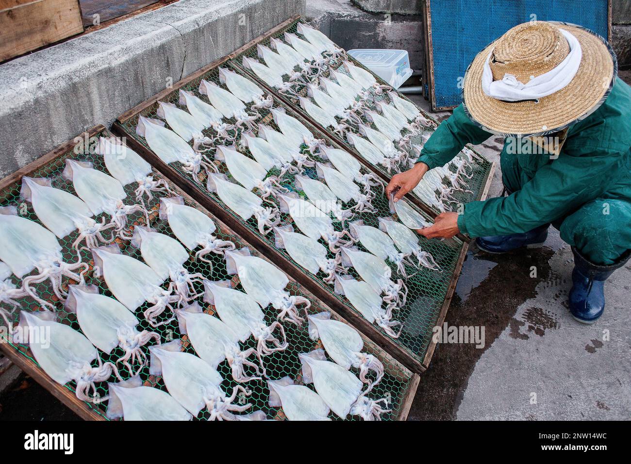 peddler. A fishmonger selling cuttlefish, in fishing Port,Katsuura ...