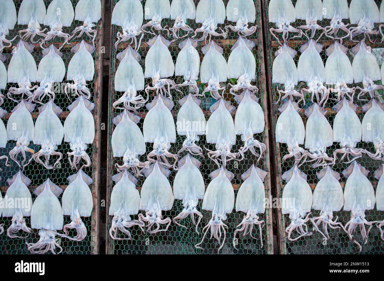 Peddler. Selling cuttlefish, in fishing Port,Katsuura, Nachikatsuura ...