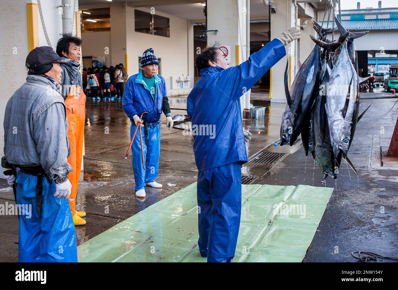 Unloading the catch. Tuna Market, in fishing port, Katsuura ...