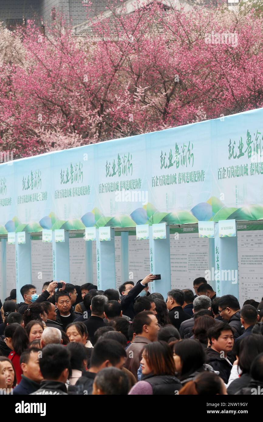 CHONGQING, CHINA - FEBRUARY 27, 2023 - Job seekers check job postings ...