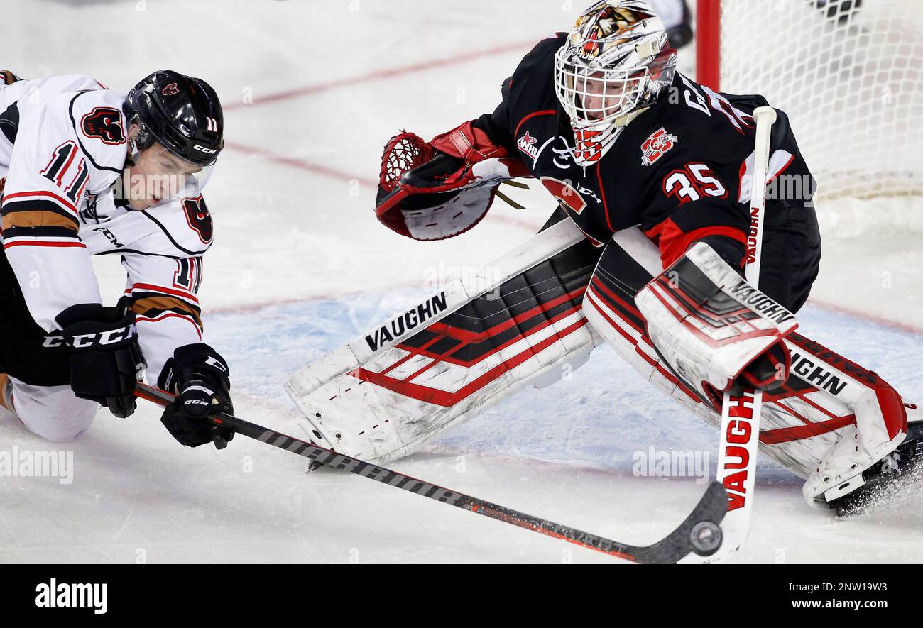 Prince George Cougars goalie Taylor Gauthier, rt, makes a save against ...