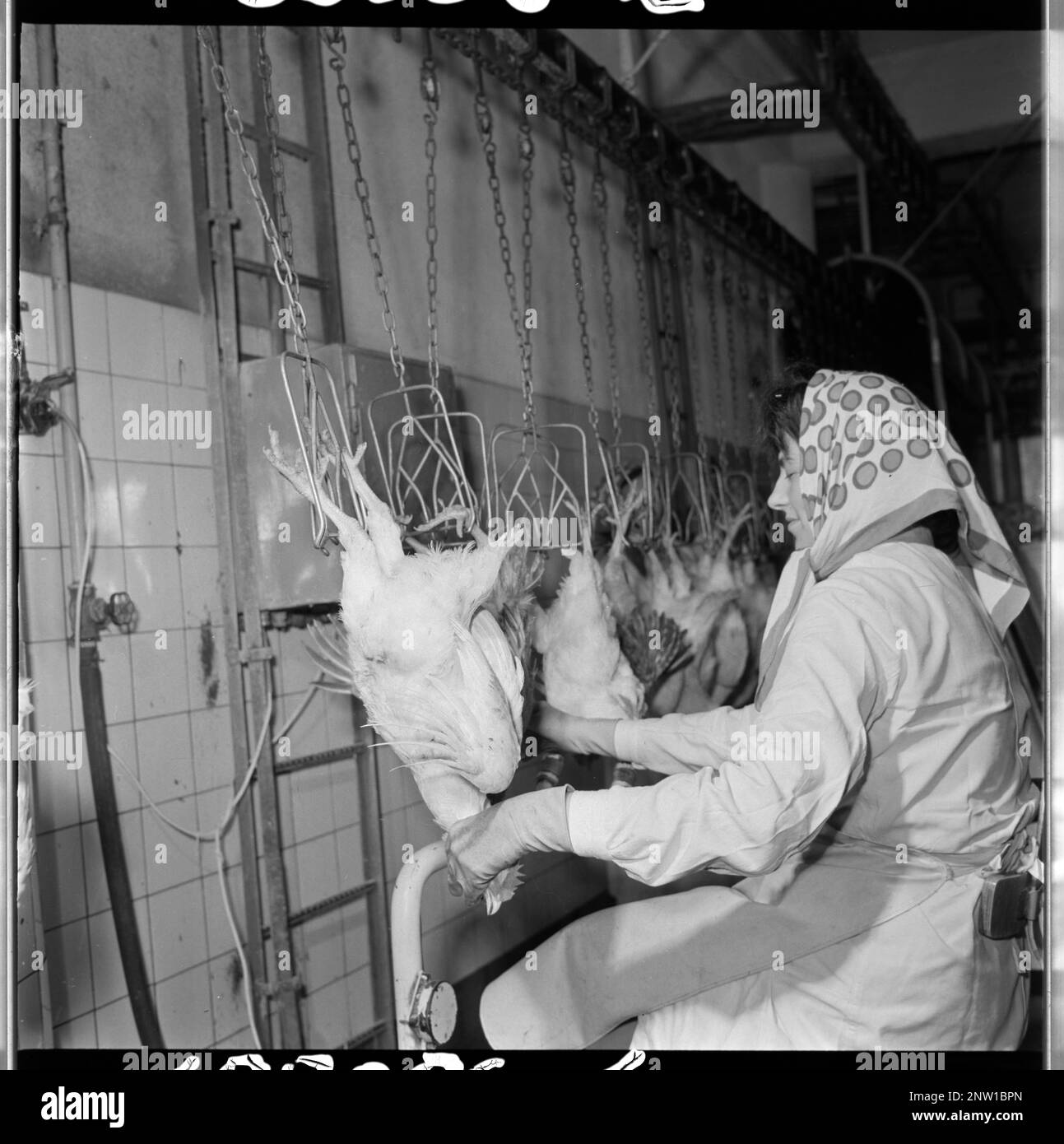 ***FEBRUARY 12, 1965, FILE PHOTO*** In Prerov, the construction of a ...