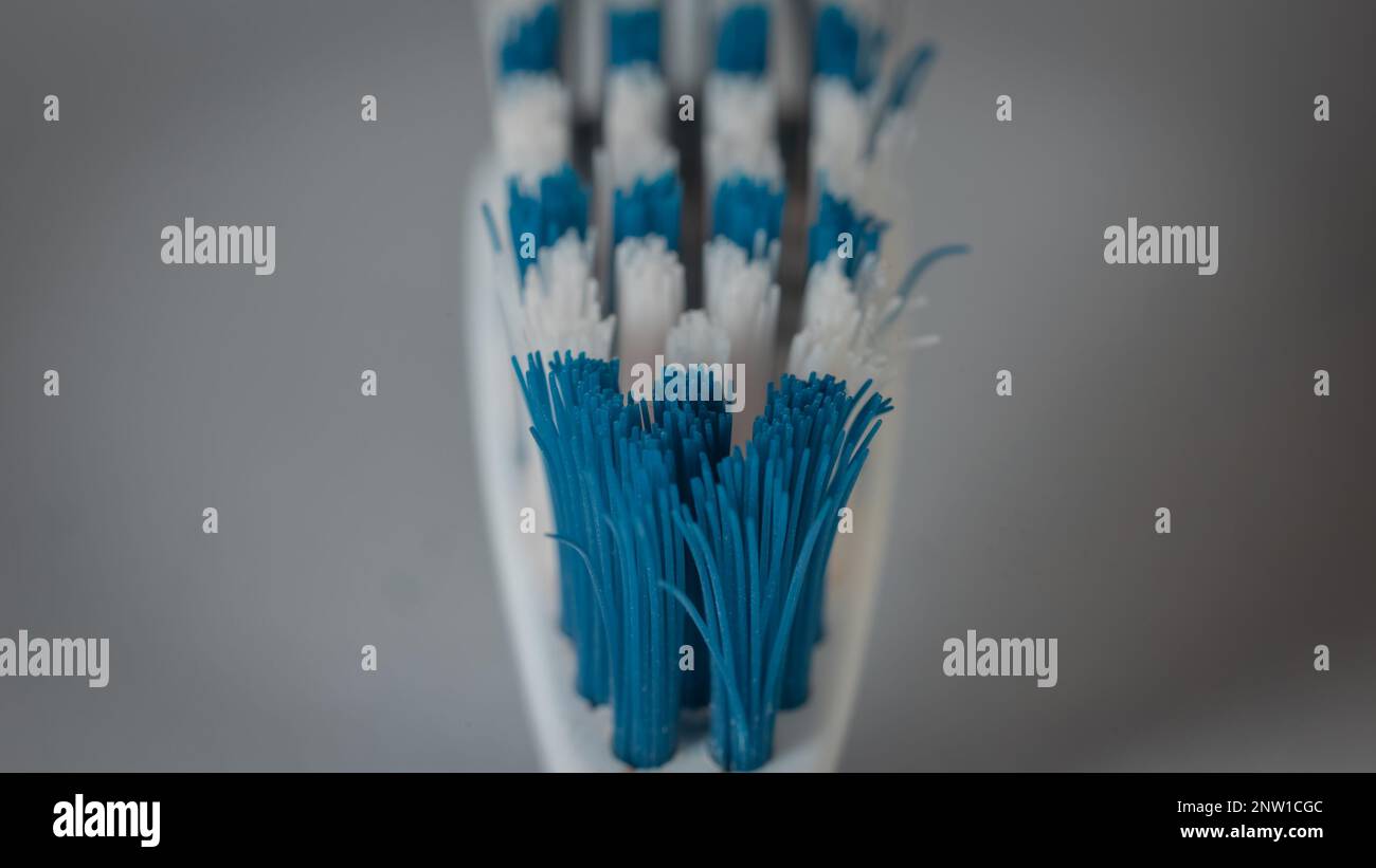 Macro close up photo of a worn white and blue toothbrush bristles ...